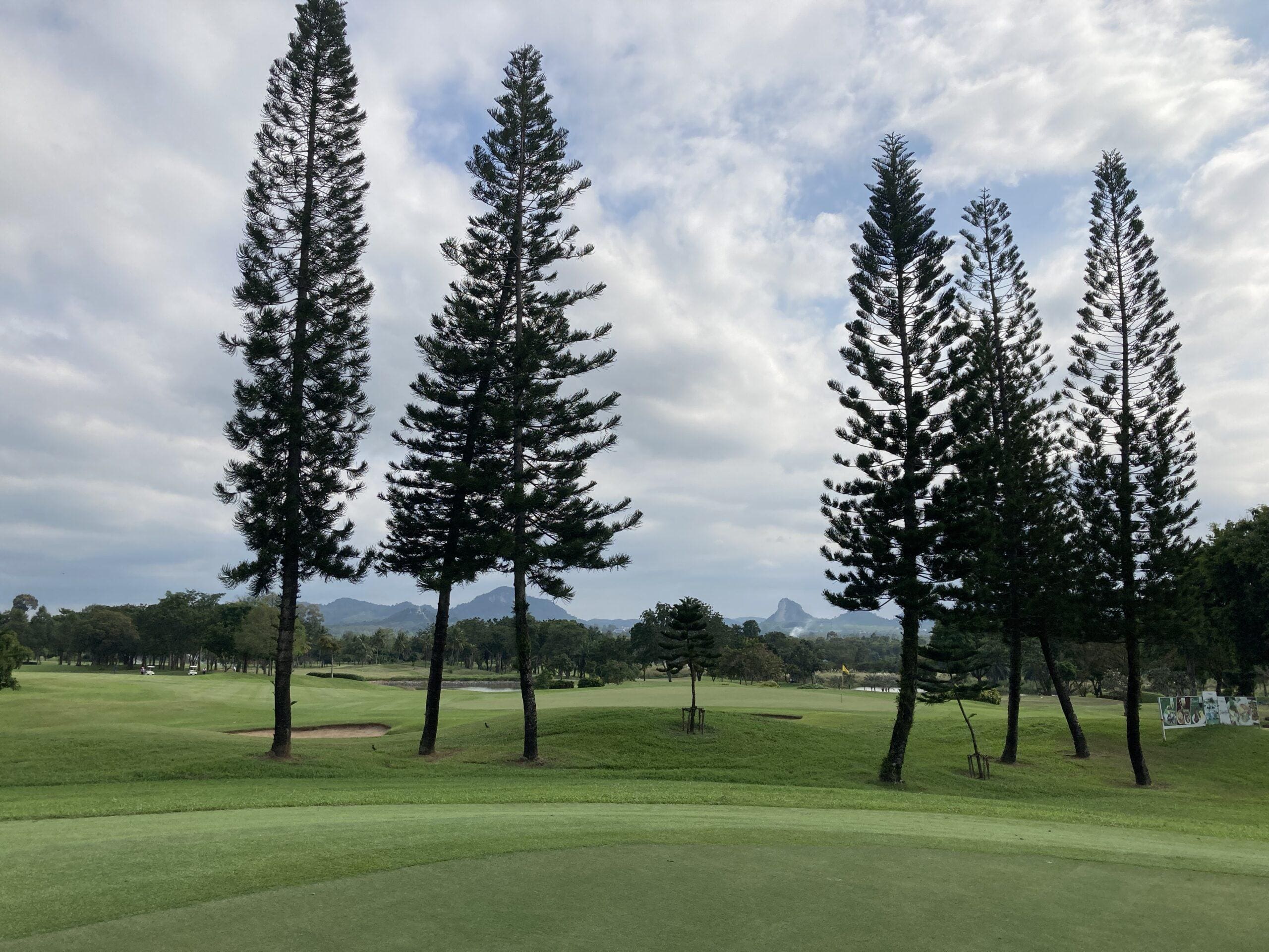 Phoenix Gold Golf and Country Club: A Golfer's Haven